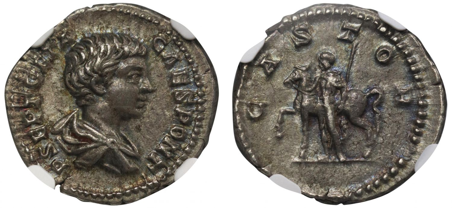 Geta, Silver Denarius, Castor.
